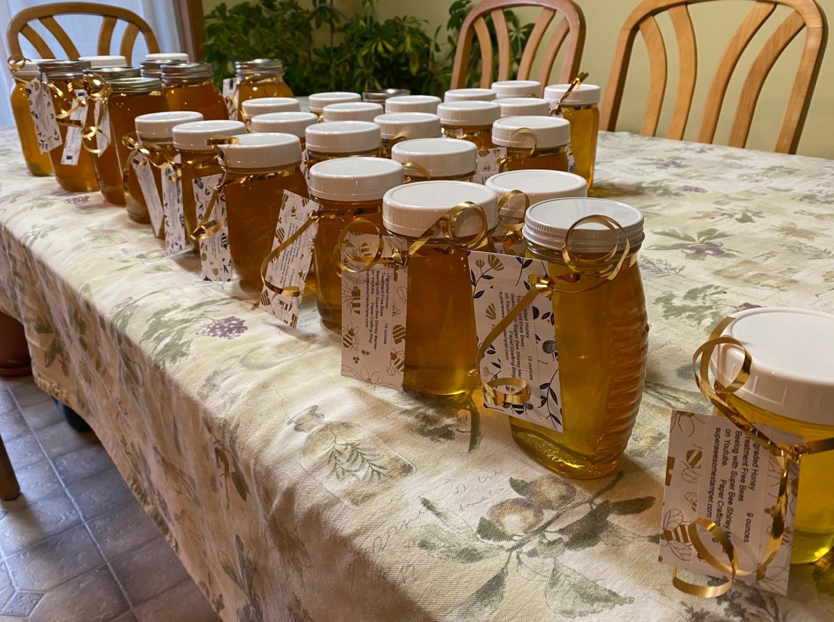 These Videos are Buzzing! – Super Awesome Stamper