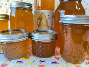 Super Awesome Stamper – inspiration for a paper crafting life